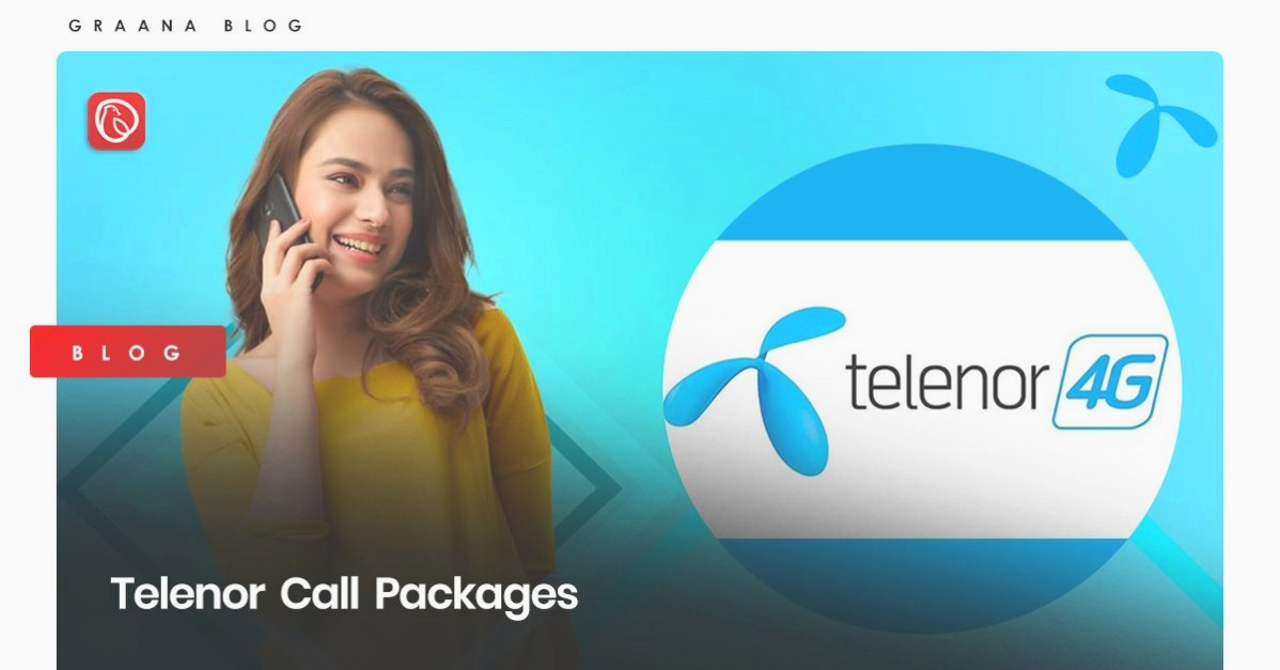Best Telenor Monthly Call Package for Professionals - DigiIT
